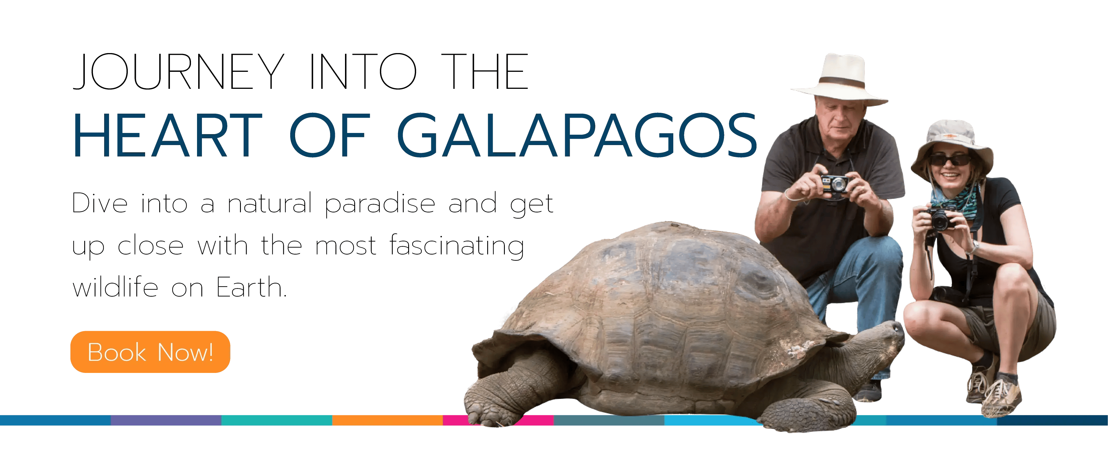 Galapagos Ocean Currents: Life-Shaping Forces | Go Galapagos